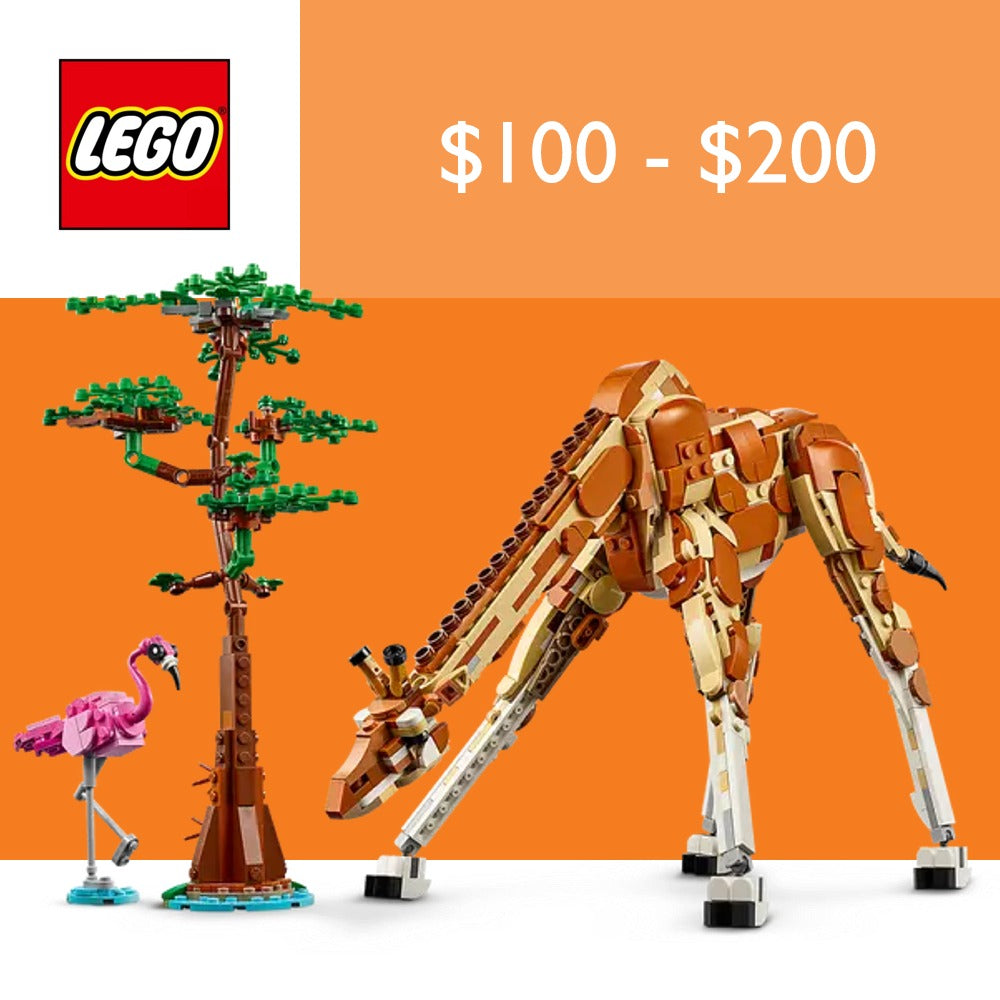 $100 - $200 – Bricks Store Ecuador