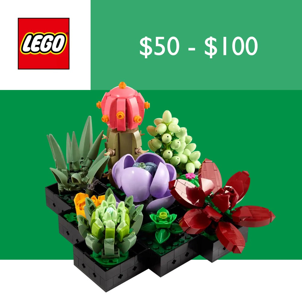 $50 - $100 – Bricks Store Ecuador